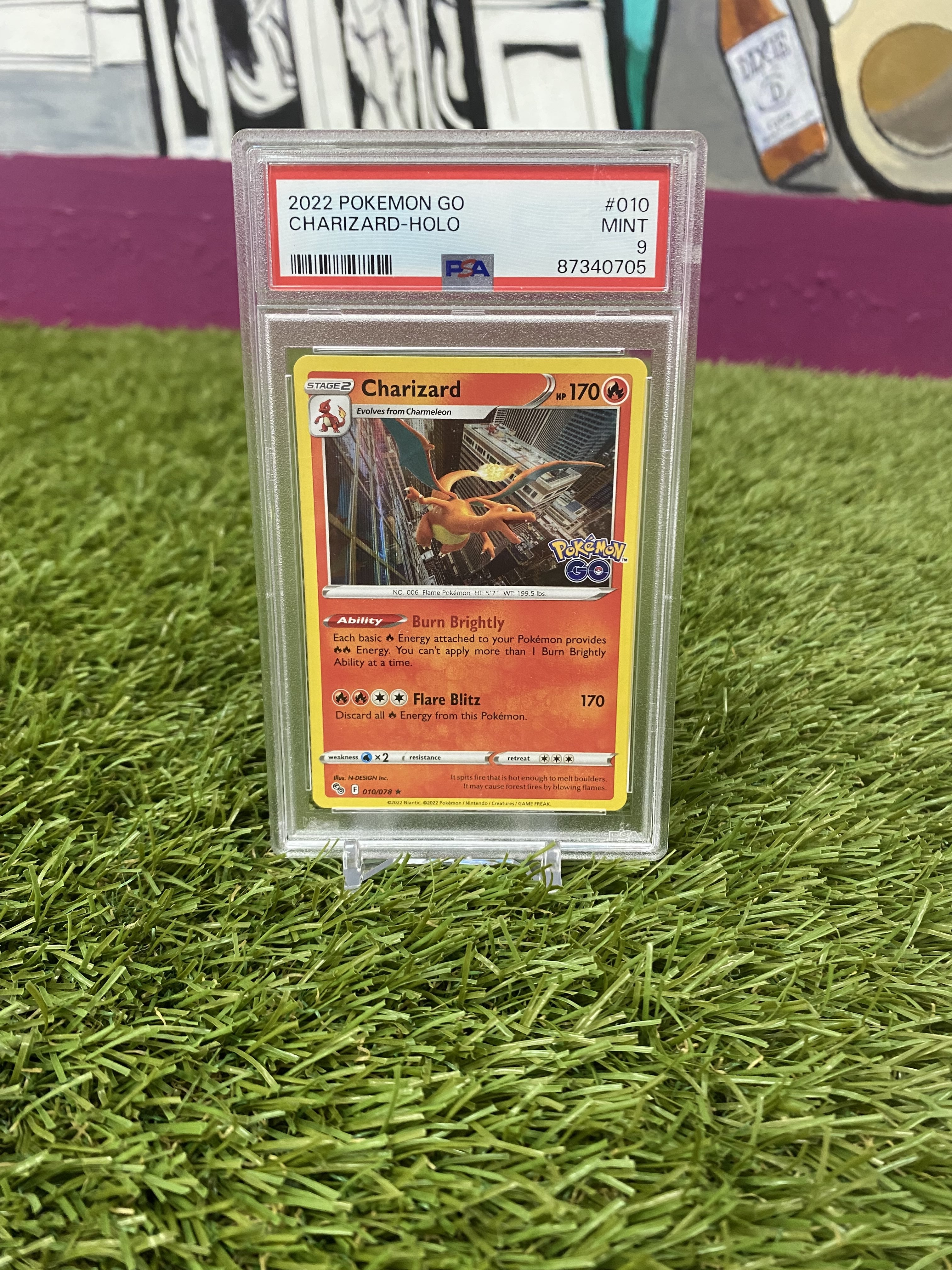 Graded Pokémon TCG Slabs – PokéNOLA Collectibles