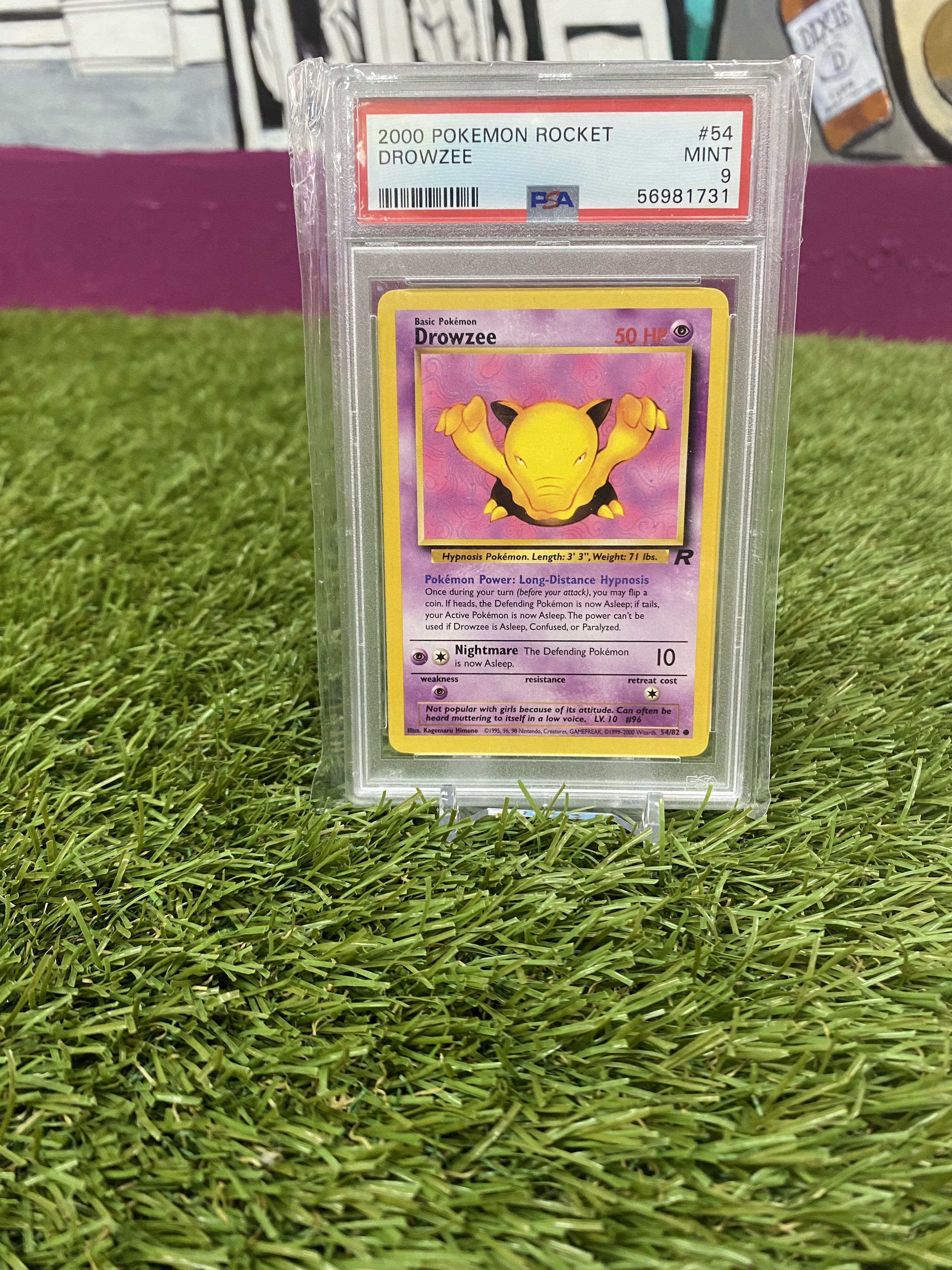 Graded Pokémon TCG Slabs – PokéNOLA Collectibles