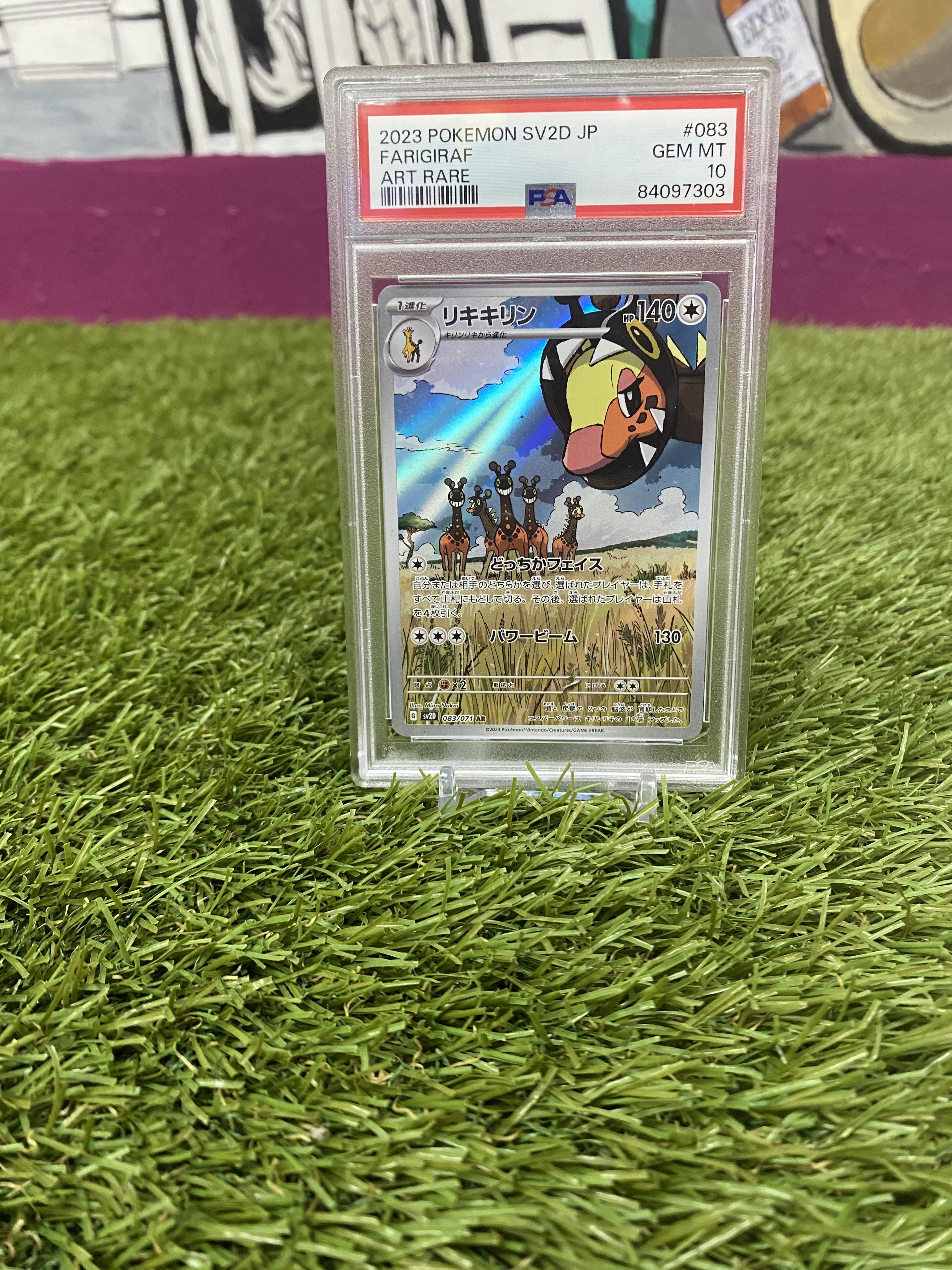Graded Pokémon TCG Slabs – PokéNOLA Collectibles