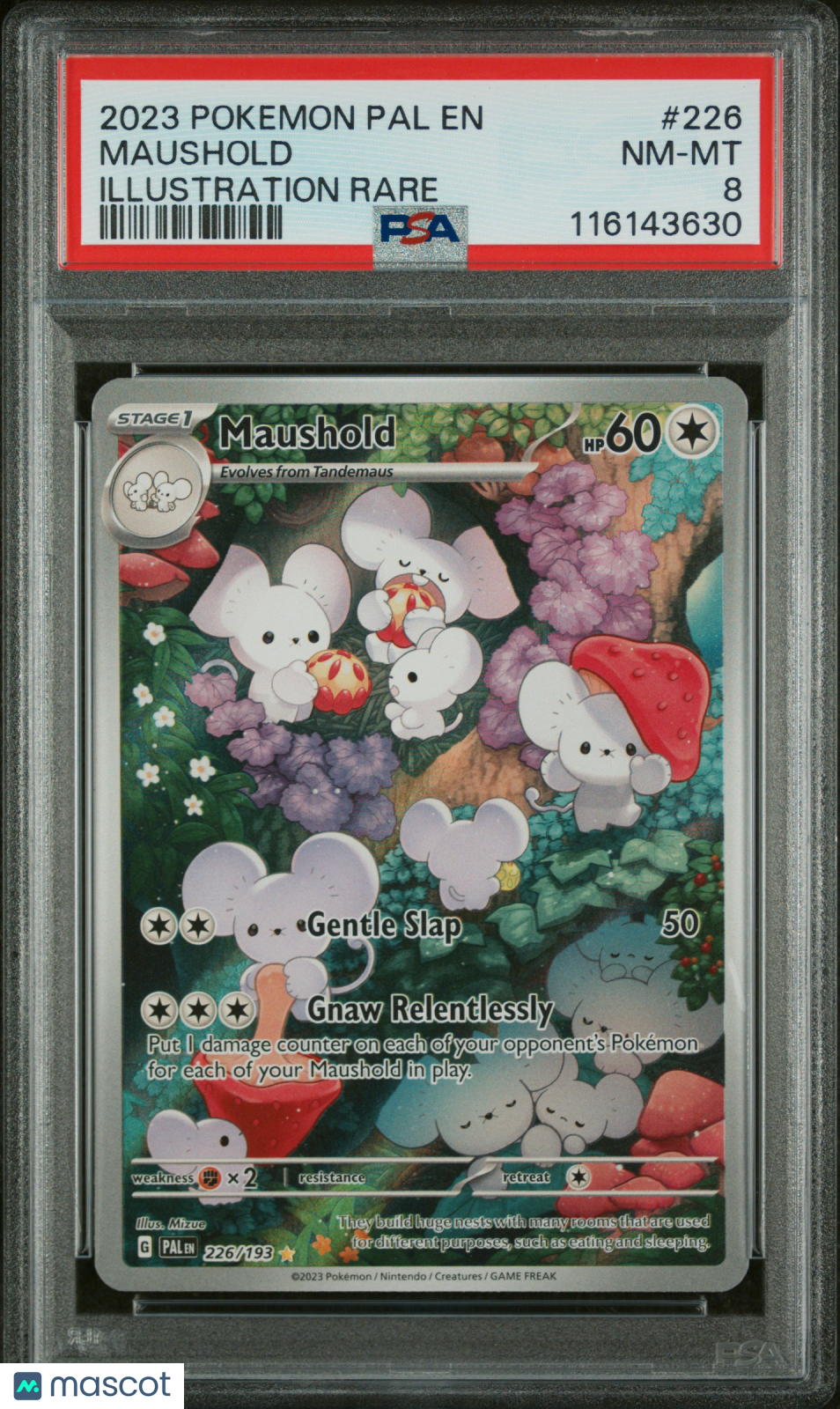 2023 Pokemon Pal EN-Paldea Evolved Maushold #226 Illustration Rare PSA ...